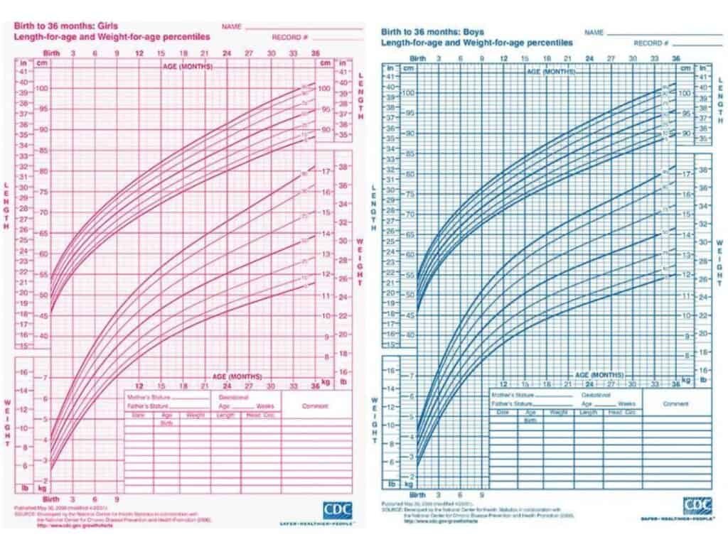 Growth and Development Monitoring: Is It Important? - FirstStep Child ...